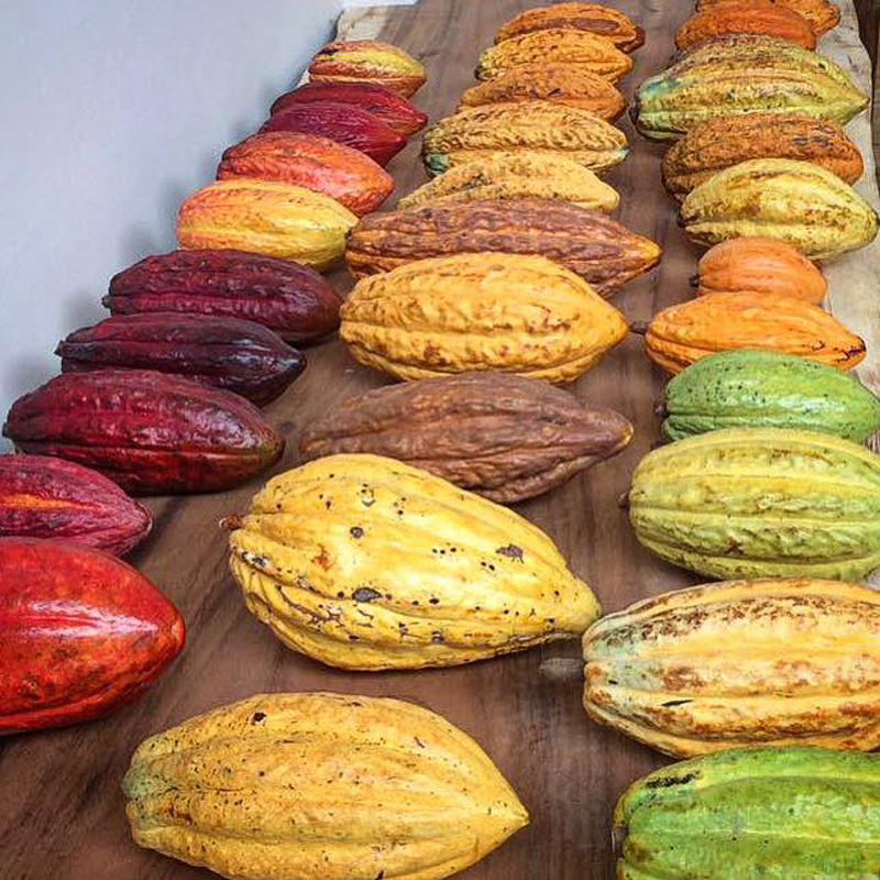 Pilot: Chocolate is Multiple – The Slow Melt