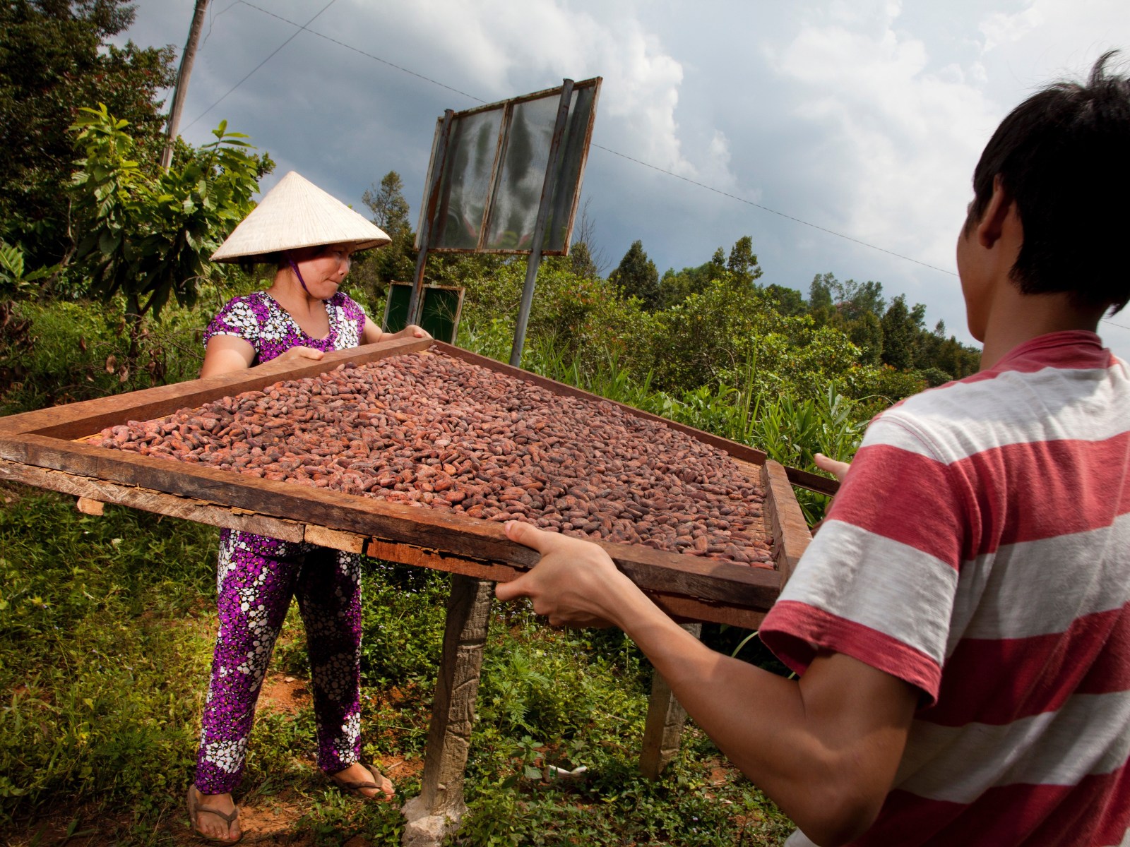 MS 5: Marou, Faiseurs de Chocolat – The Slow Melt